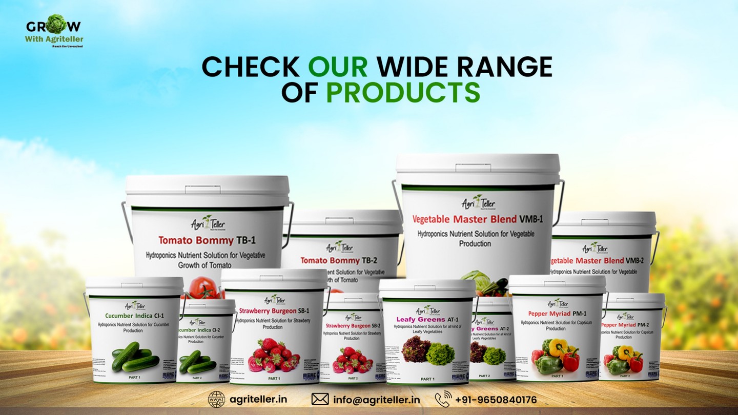 Hydroponics: The Emerging Farming Technology – Agriteller